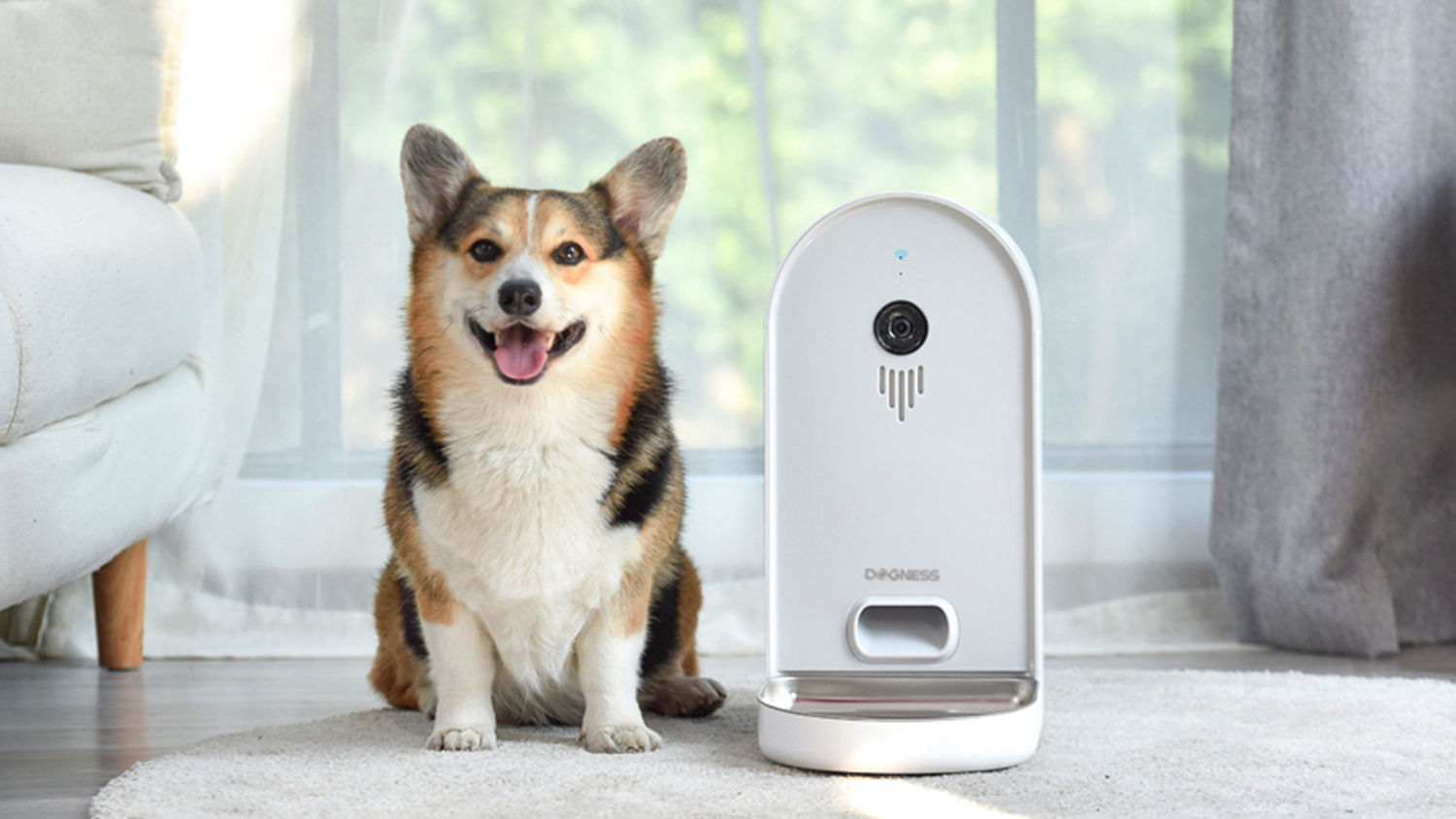 Smart Pet Products Range | Harvey Norman New Zealand