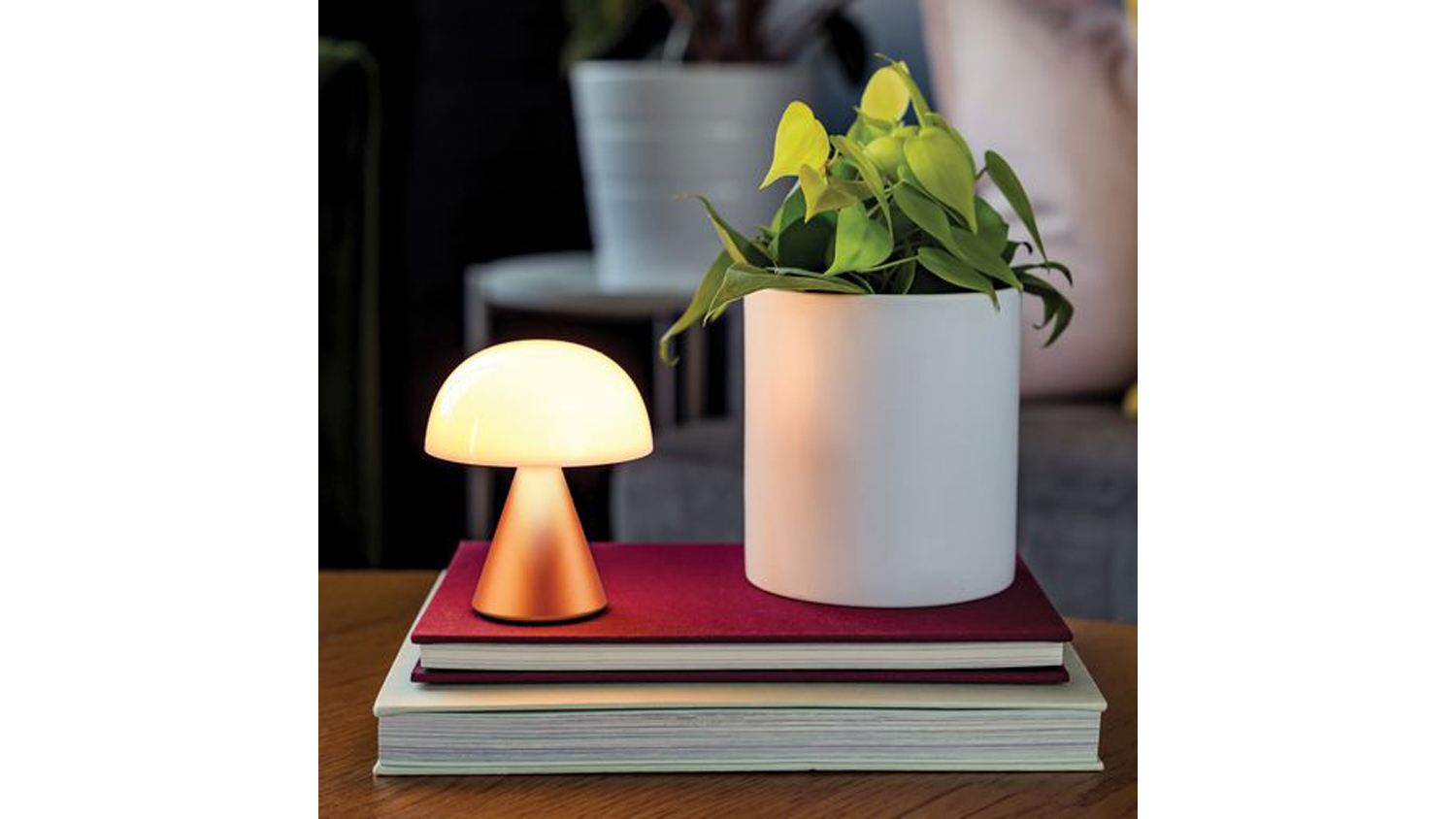 Lexon | Harvey Norman New Zealand