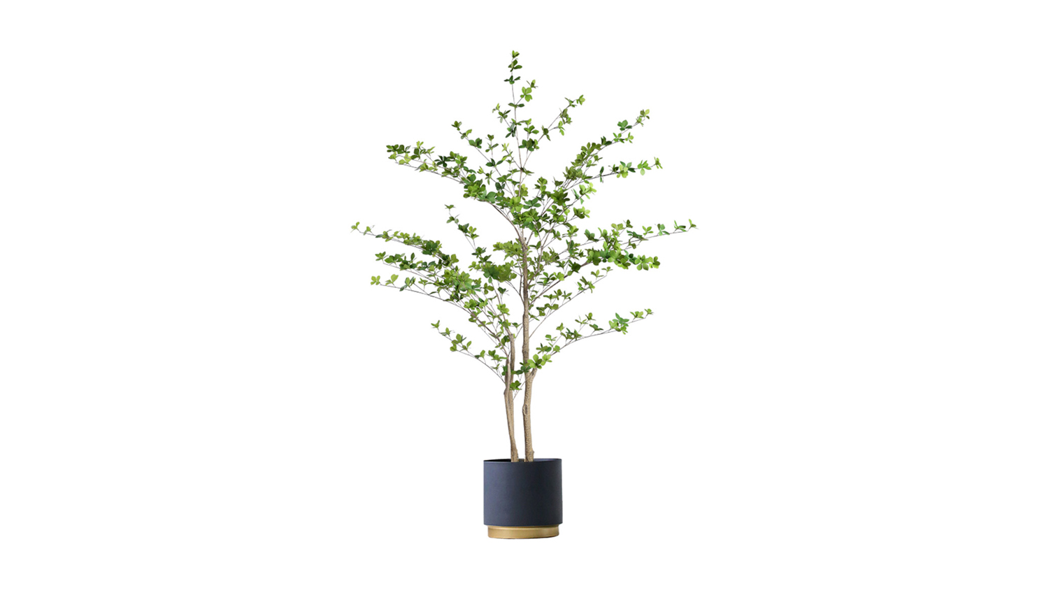 Soga 180cm Artificial Watercress Tree | Harvey Norman New Zealand