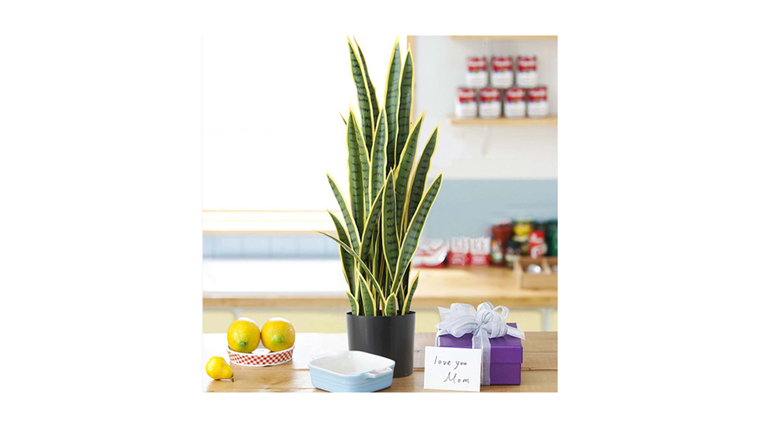 Soga | Harvey Norman New Zealand