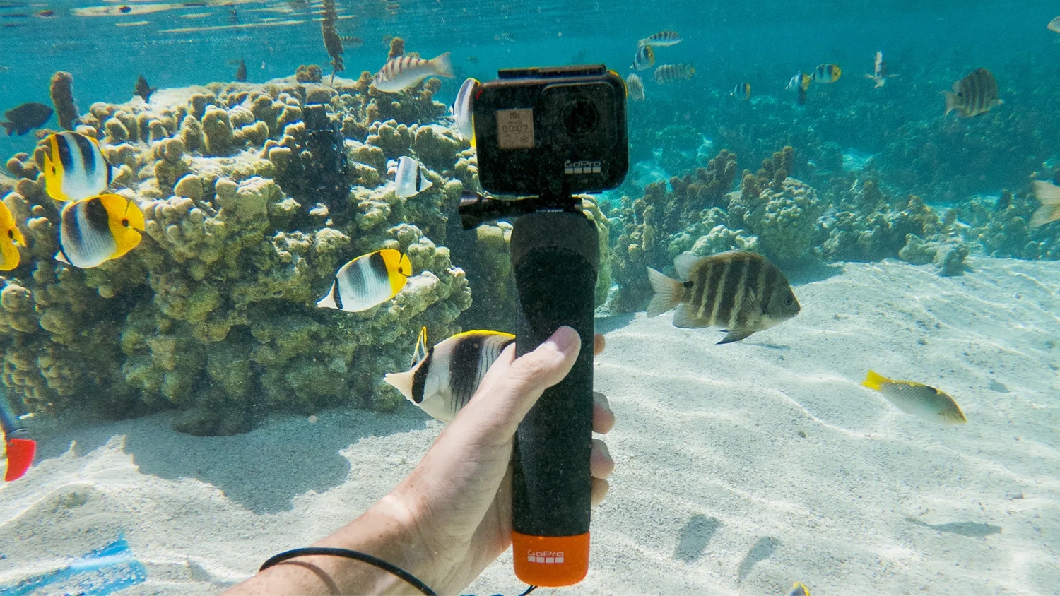 GoPro Adventure Kit 2.0 | Harvey Norman New Zealand