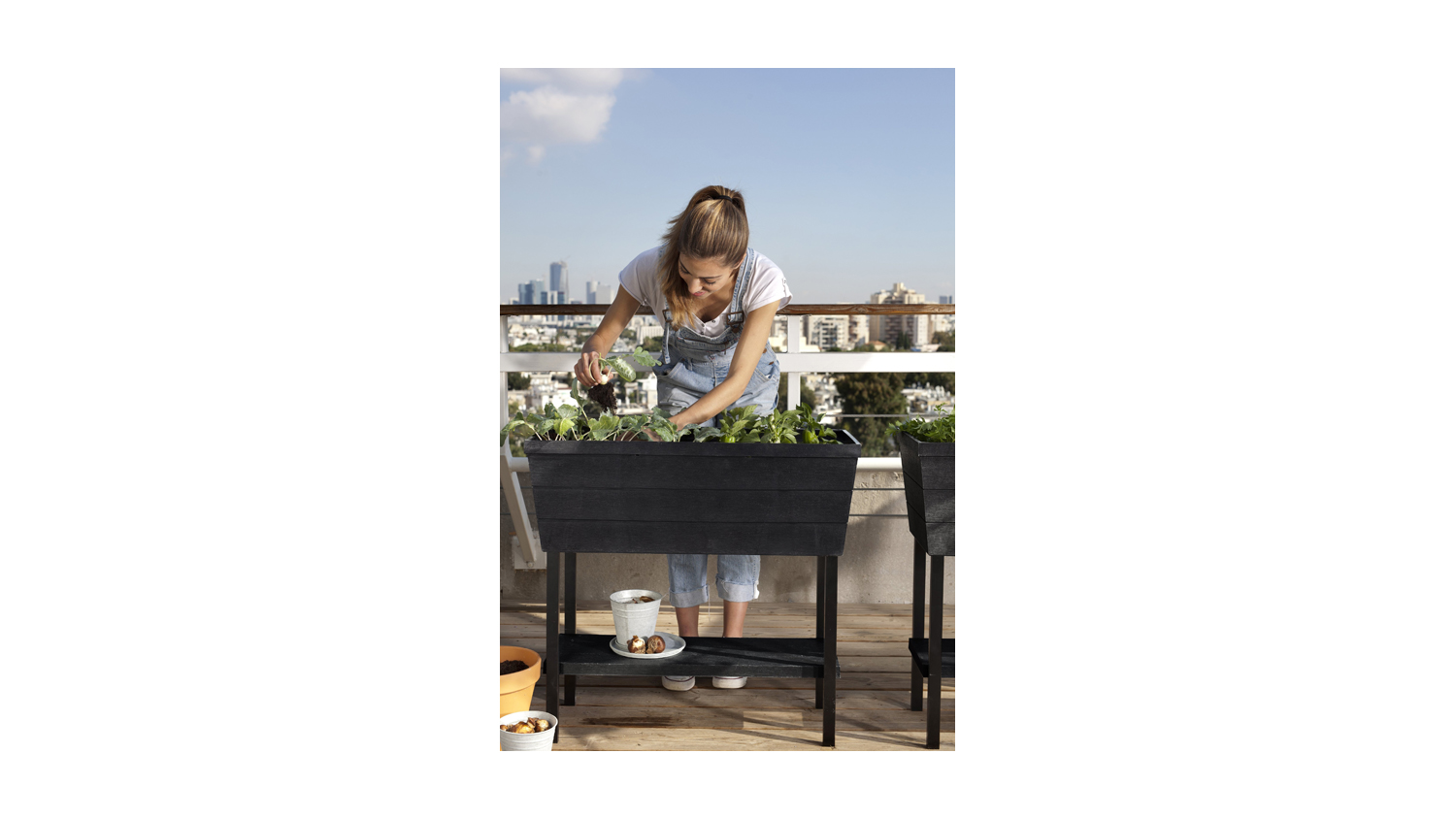 Keter Urban Bloomer Elevated Planter | Harvey Norman New Zealand