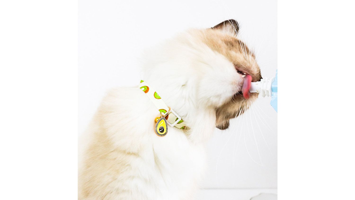 Meow Six Perro Cat Collar - Pineapple | Harvey Norman New Zealand