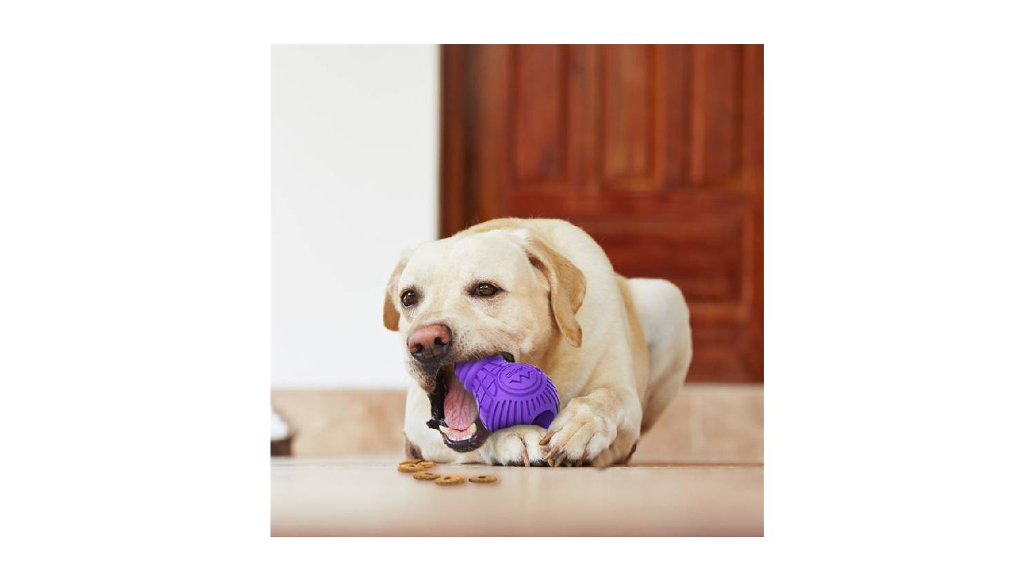 GiGwi Treat Dispensing Bulb - Large | Harvey Norman New Zealand