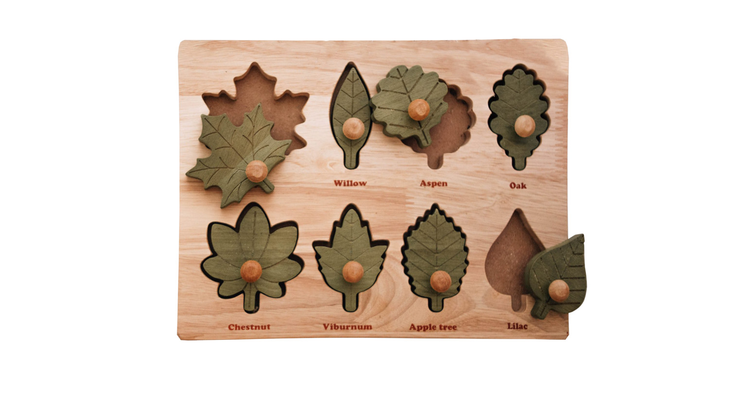 Qtoys Leaf Puzzle | Harvey Norman New Zealand