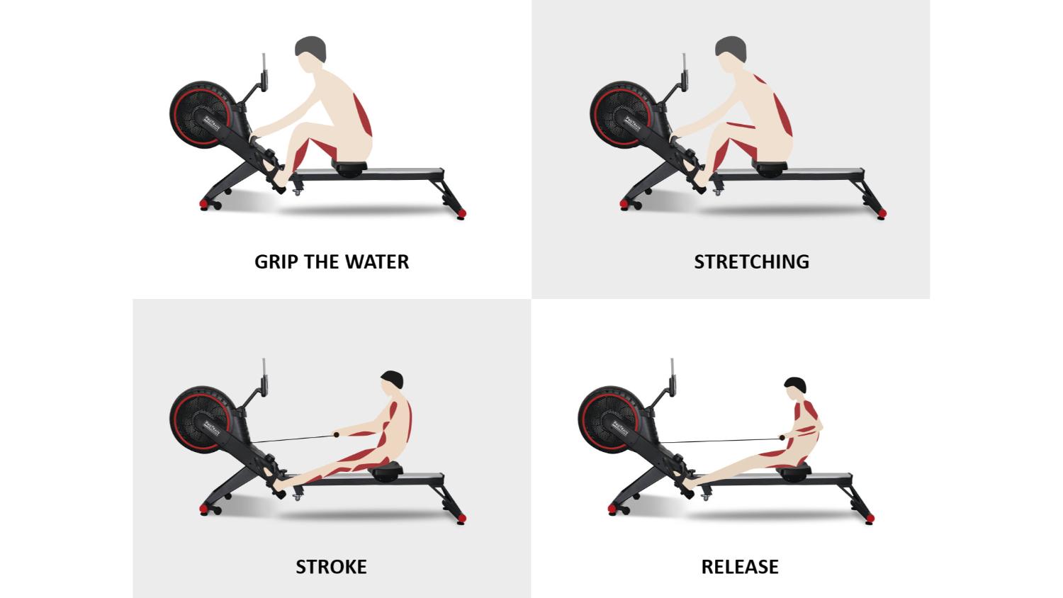 PROTRAIN Air + Magnet Resistance Rowing Machine - Black | Harvey Norman ...