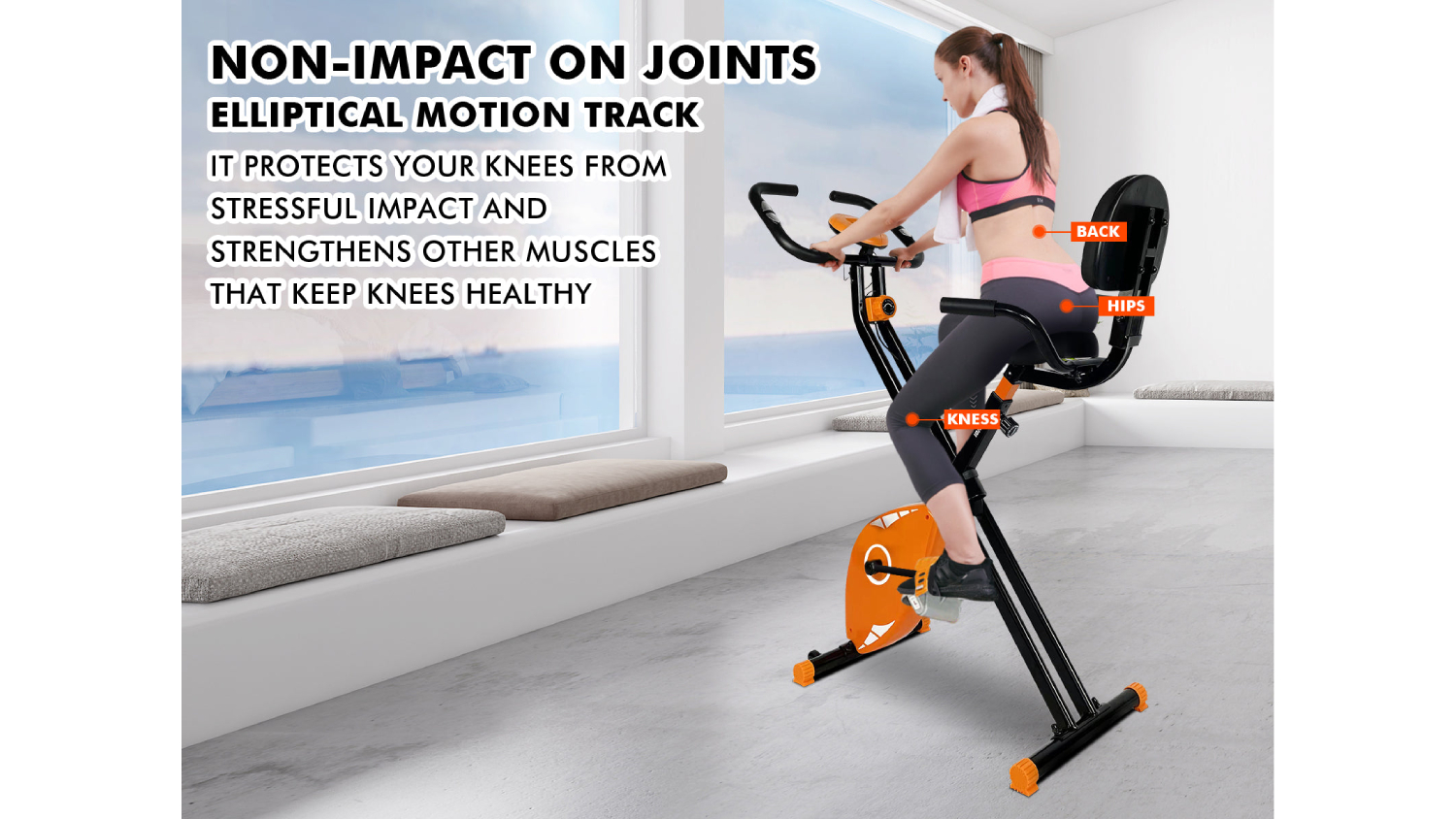 PROTRAIN X-Bike Folding Recumbent Bike with Silent Magnetic System ...